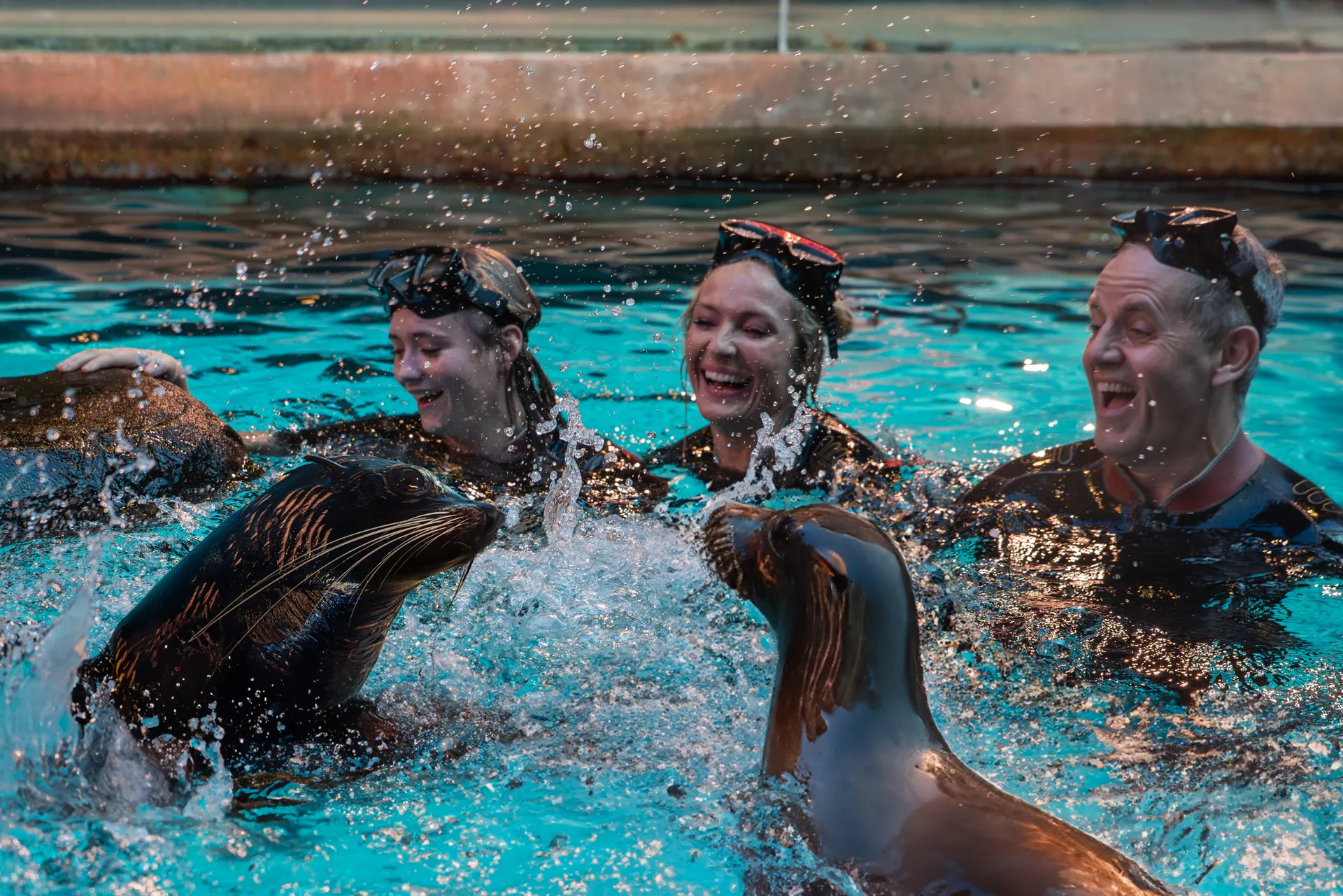 Black Friday 30% Off Selected Gift Vouchers | Madame Tussauds Sydney